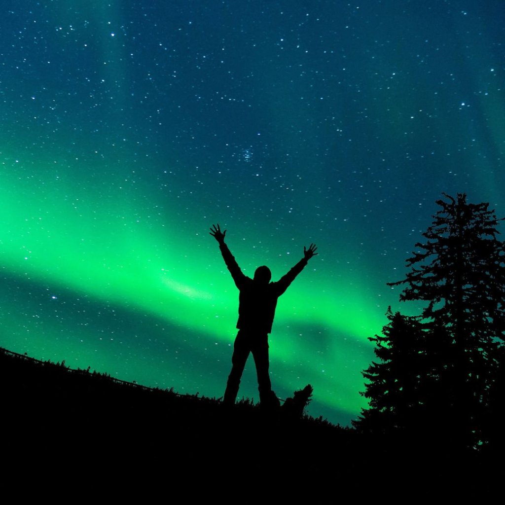 When and How to Buy Alaska Lottery Tickets - How It Works