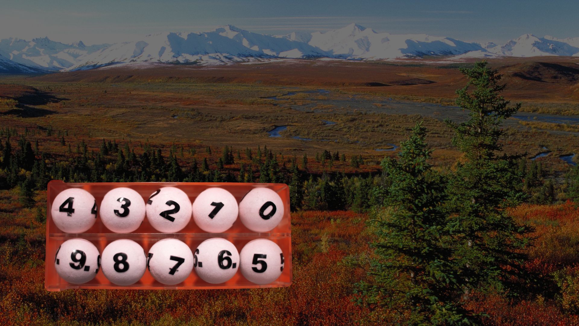 Which Lotto Tickets Have the Best Odds? - Find Your Best Bet